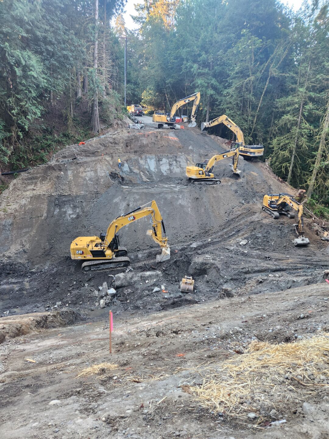 Green Cove Creek Fish Barrier Removal - Marwood General Construction